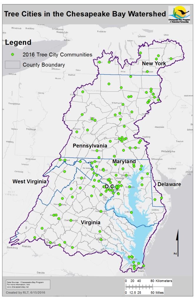 Celebrating our Tree City Communities - Chesapeake Tree Canopy Network