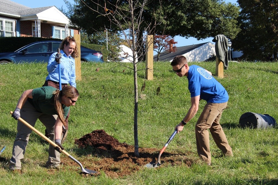 DE: Delaware Commits to Planting and Maintaining Trees in the State ...